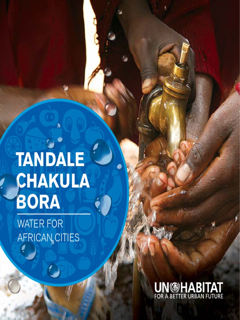 Tandale Chakula Bora English | PDF | Sanitation | Millennium ...