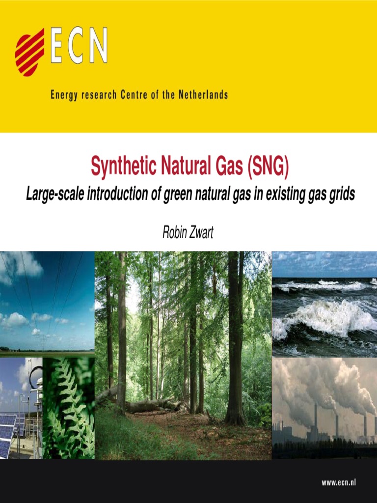 Synthetic Natural Gas (SNG) : Large-Scale Introduction of Green Natural ...