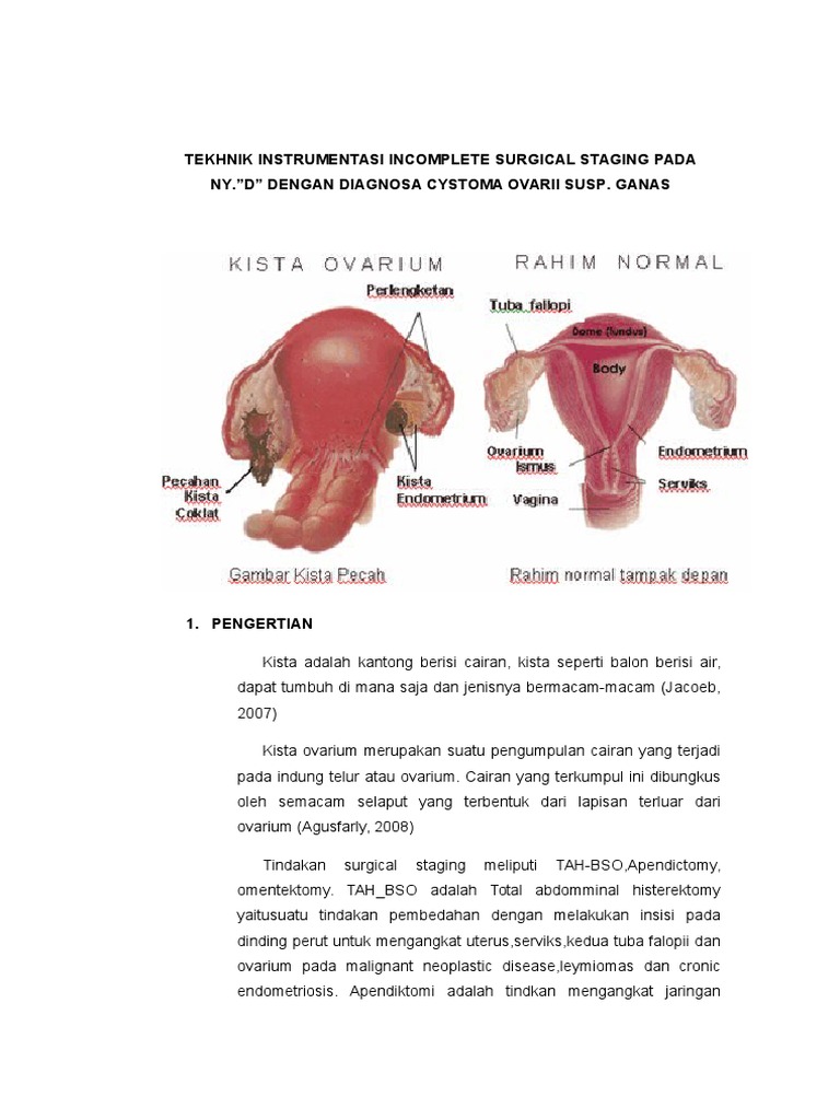 4.LP Surgical Staging | PDF