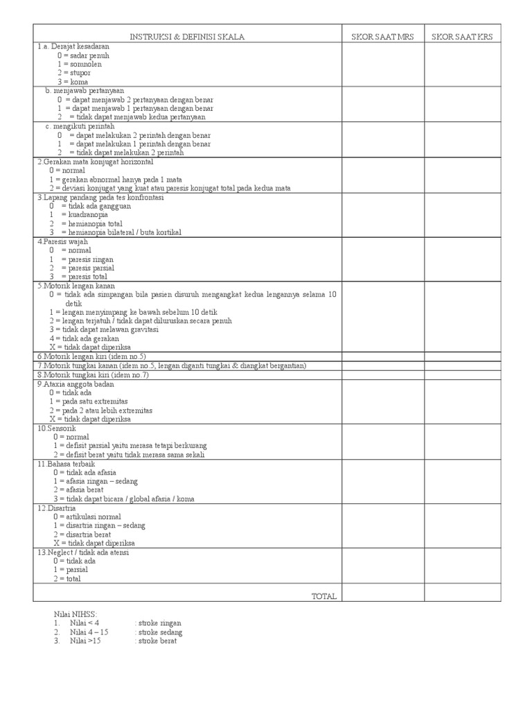 NIHSS Indonesia | PDF