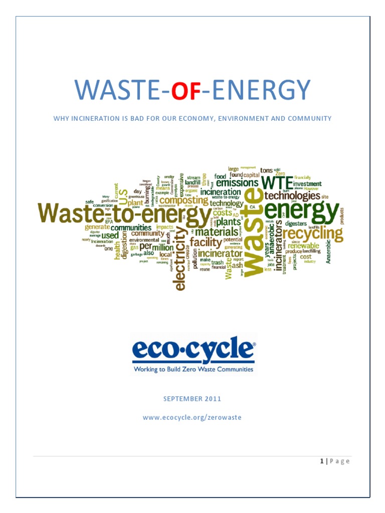 Waste To Energy | PDF | Anaerobic Digestion | Incineration