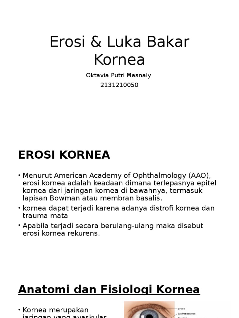 Erosi & Luka Bakar Kornea | PDF