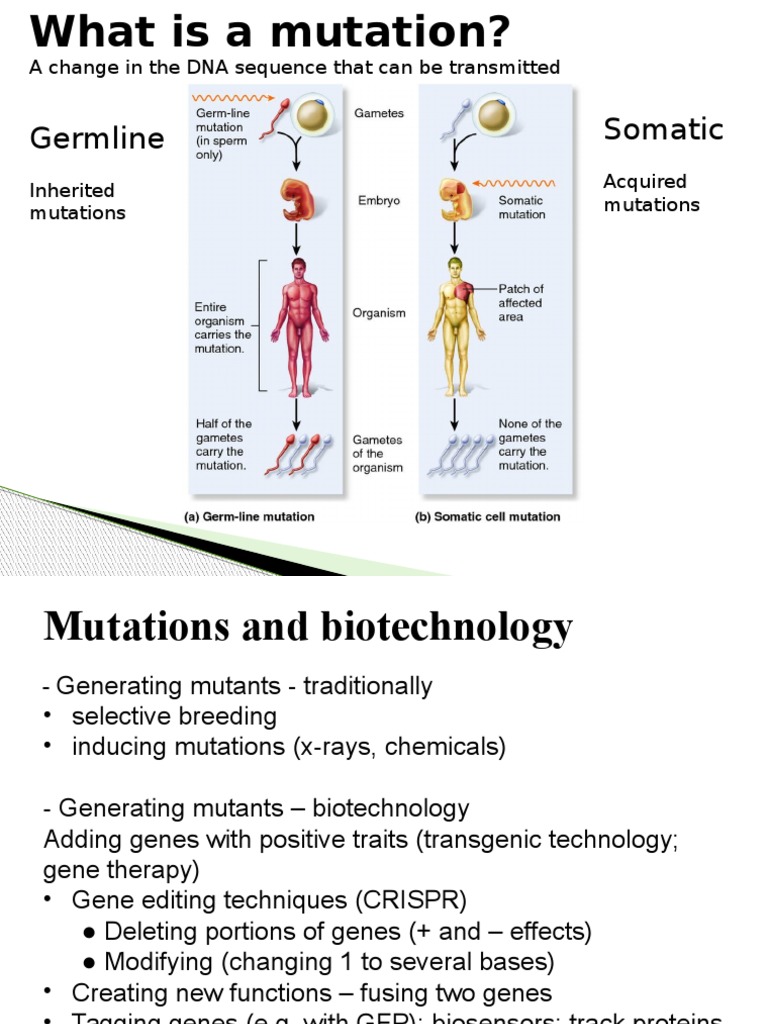 Lec 5 - Mutations and Control of Gene Expression | PDF | Rna ...