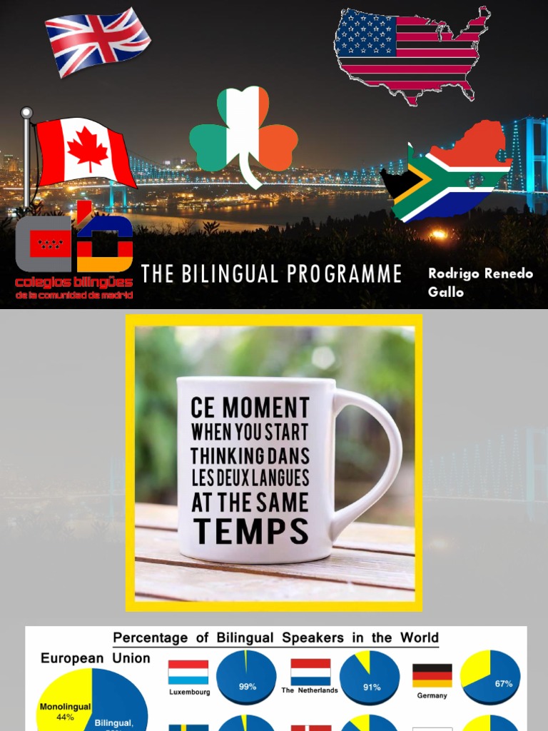 The Bilingual Programme | PDF | Reading (Process) | Multilingualism