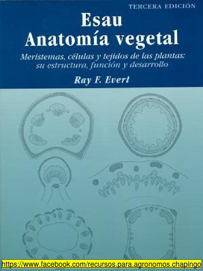 Anatomia Vegetal 3a Ed