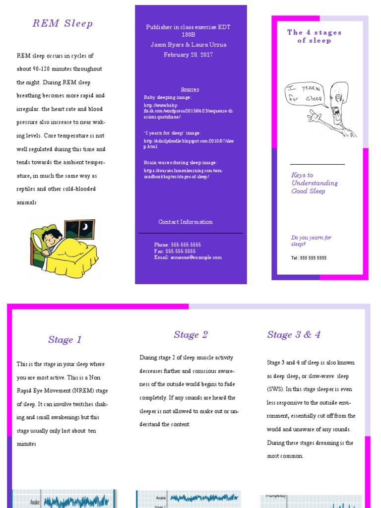 REM Sleep: The 4 Stages of Sleep | PDF | Rapid Eye Movement Sleep | Sleep