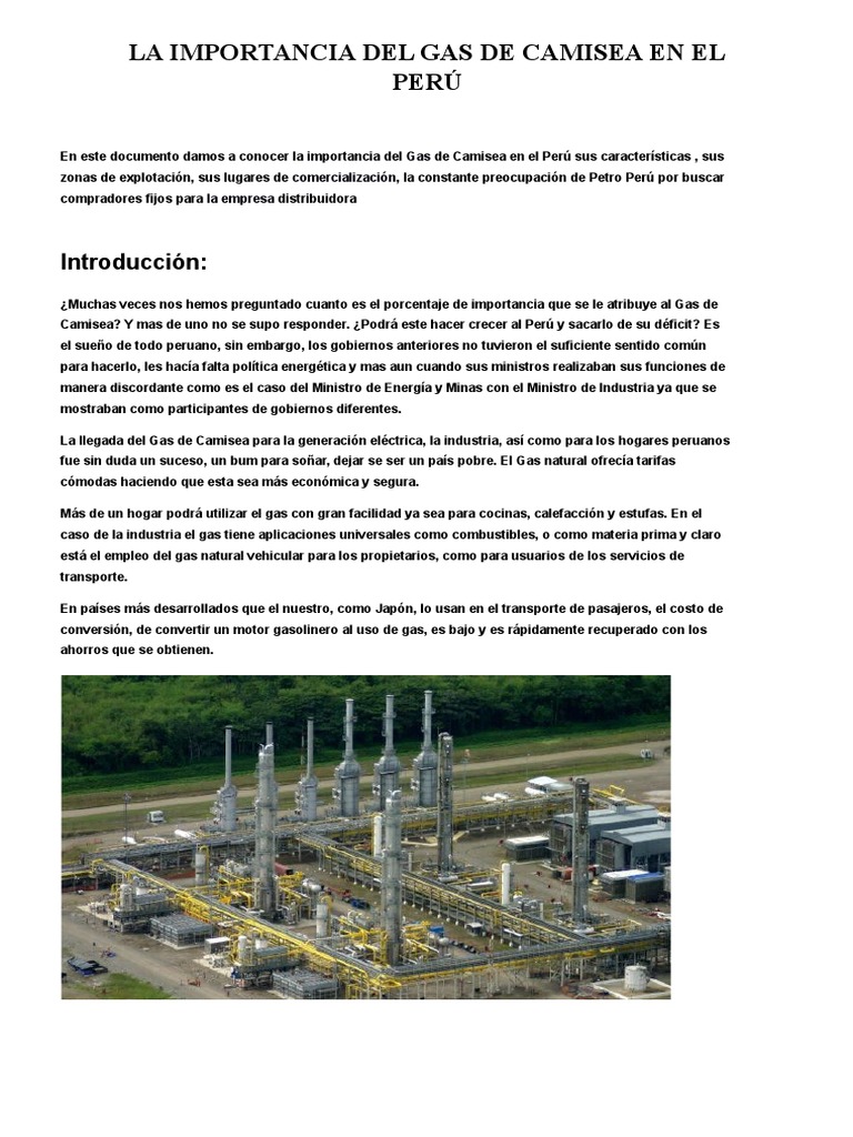 Gas Camisea | PDF | Gas natural | Perú