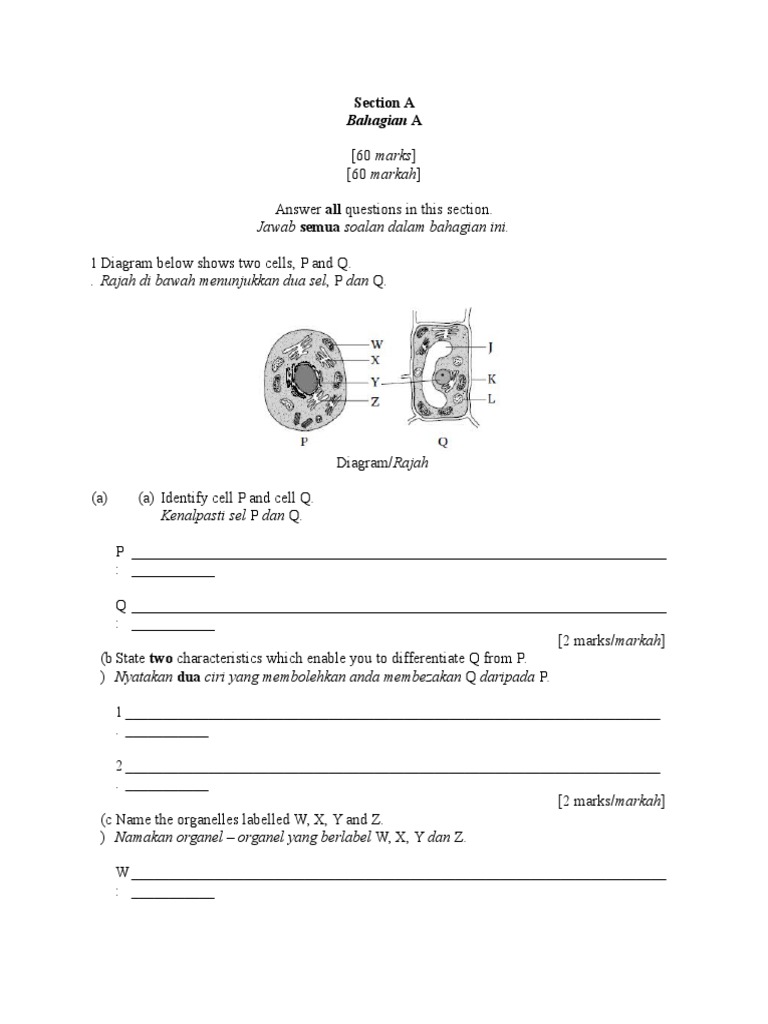 Soalan Bio Kertas 2 f4 | PDF