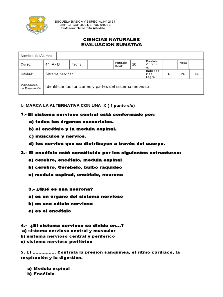 PRUEBA Cuarto Sistema Nervioso | PDF PRUEBA Cuarto Sistema Nervioso | PDF