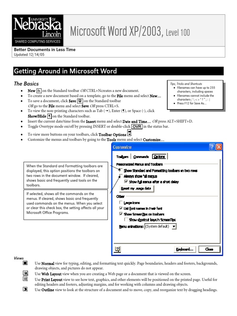Microsoft Word XP/2003 Tips & Tricks | PDF | Microsoft Word | Icon ...