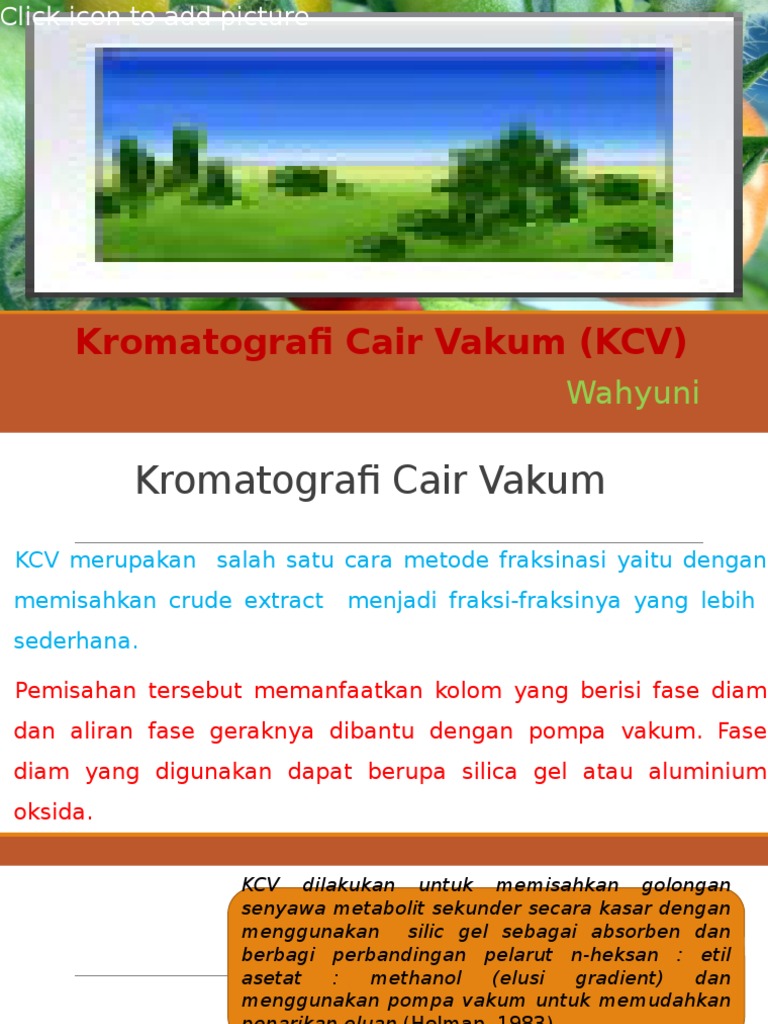 Kromatografi Cair Vakum (KCV) | PDF