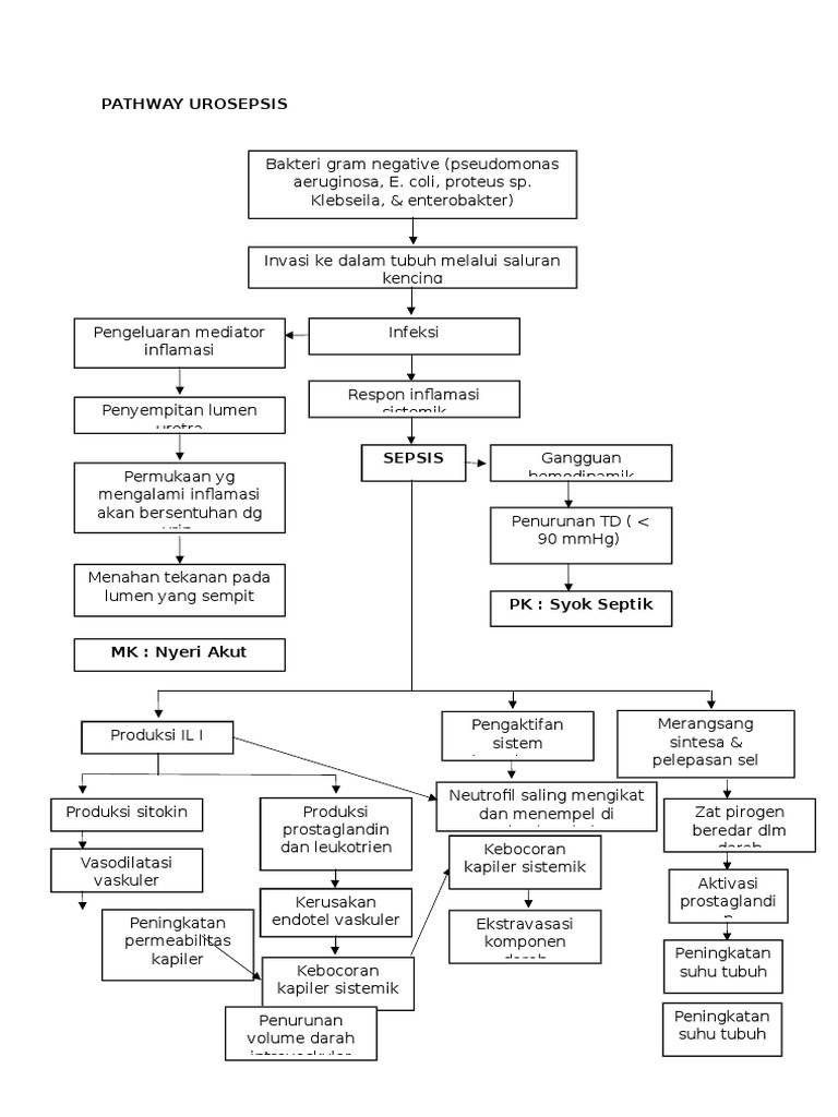 Pathway Urosepsis dan Syok Septik | PDF