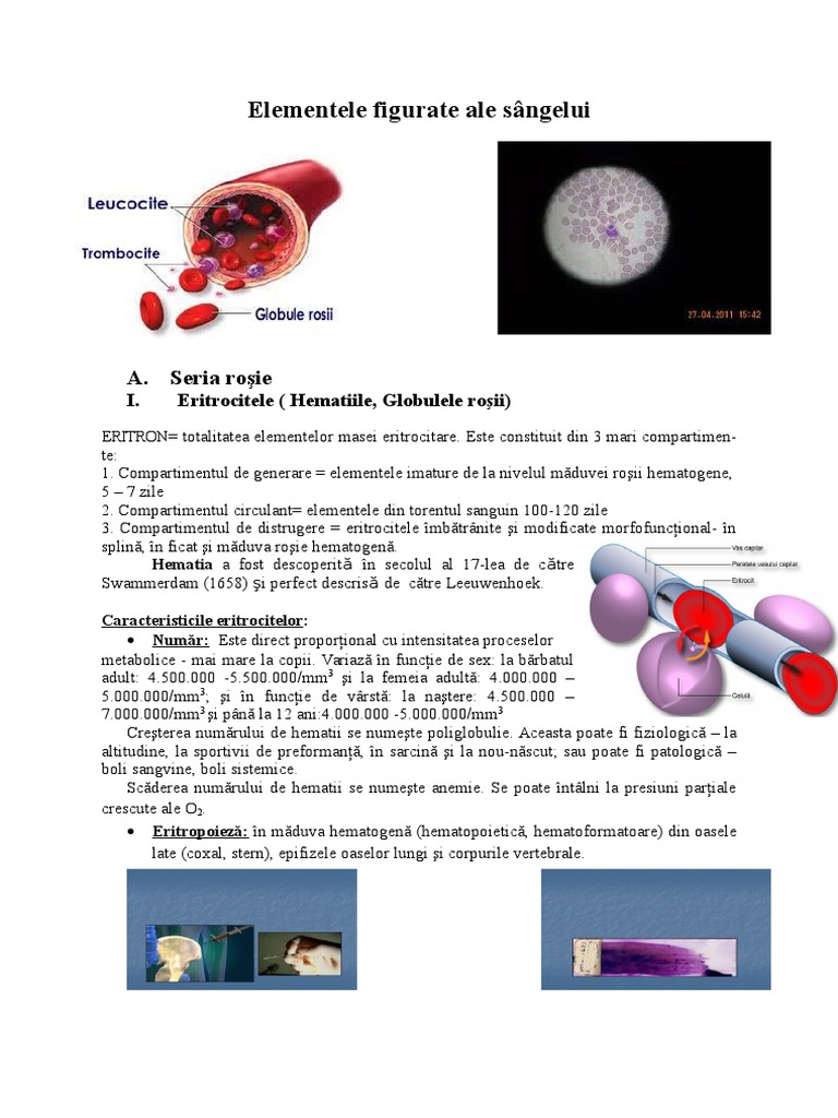 Elementele Figurate Ale Sângelui | PDF