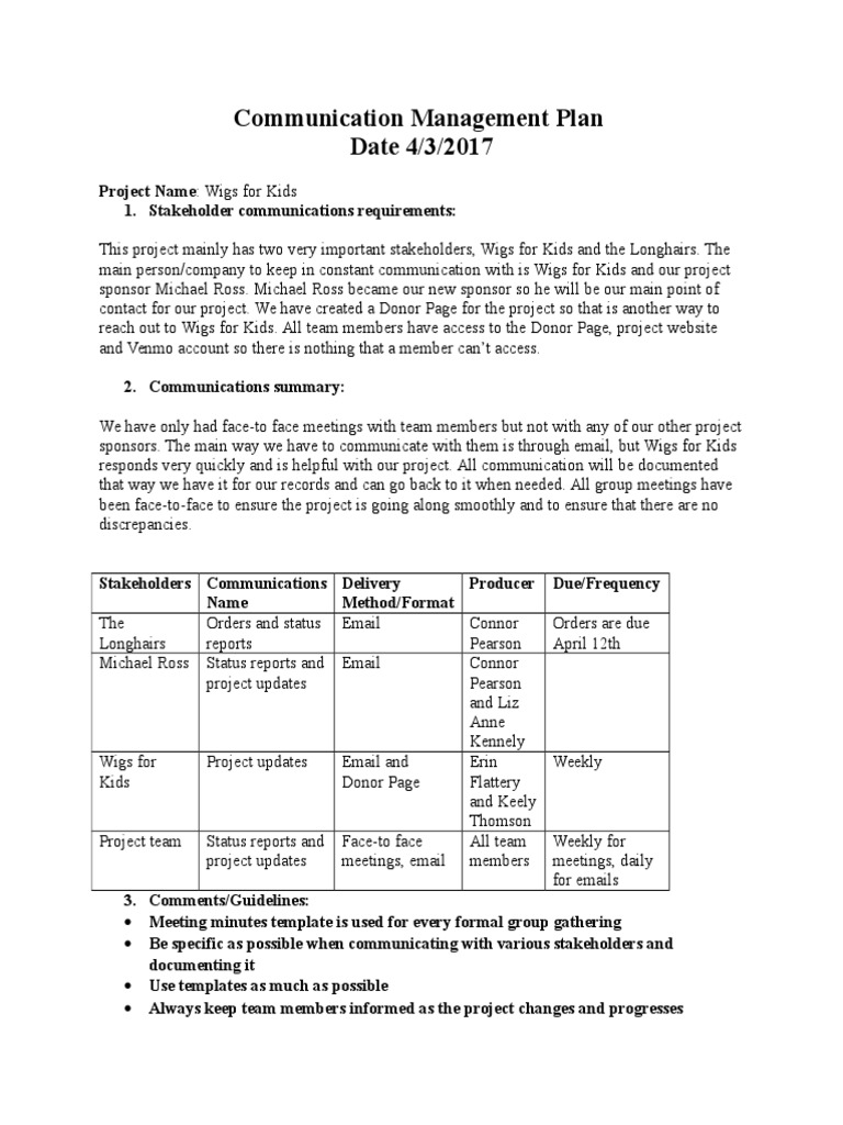Wigs for Kids Communication Management Plan | PDF | Communication ...