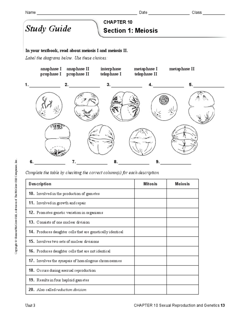 Study Guide Sexual Reproduction and Genetics English Editable ...