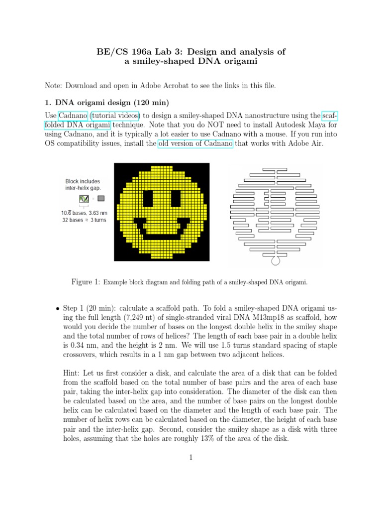 Smiley-Shaped DNA Origami Design | PDF | Base Pair | Dna