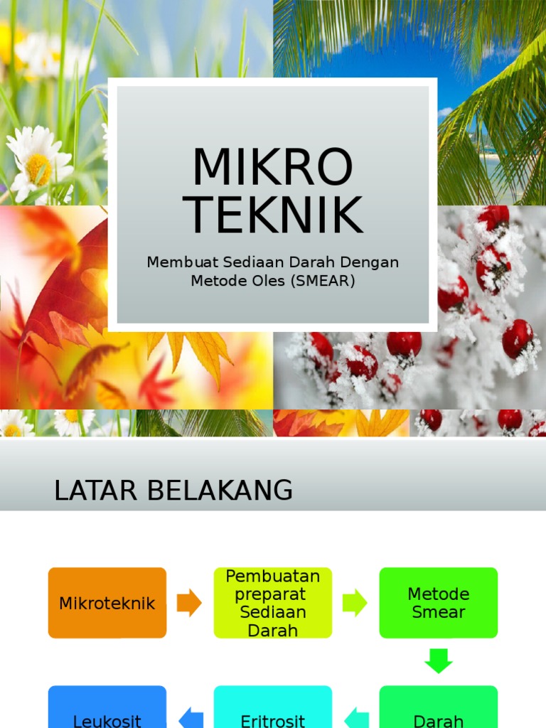 Metode Smear Apusan Darah | PDF