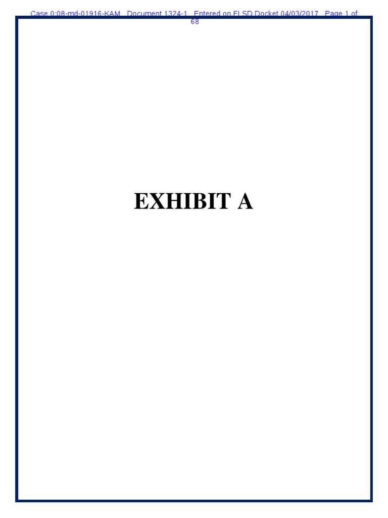 Chiquita Brands Litigation Report | PDF | Financial Audit | Audit