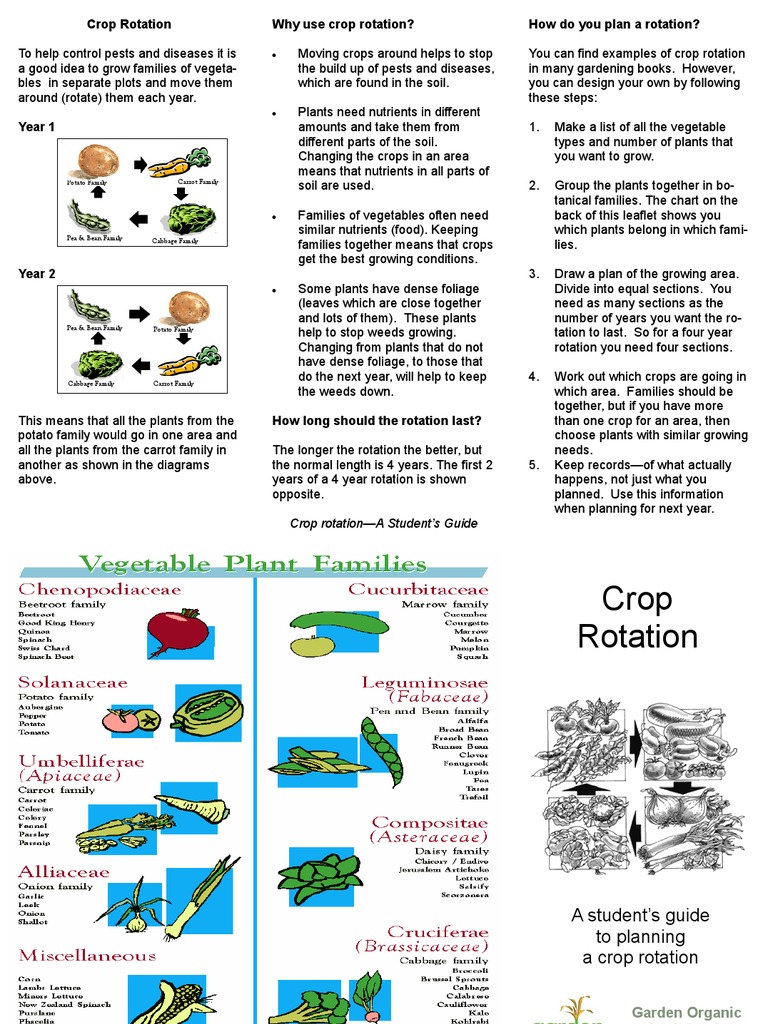 Crop Rotation To help control pests and diseases it is a good idea ...