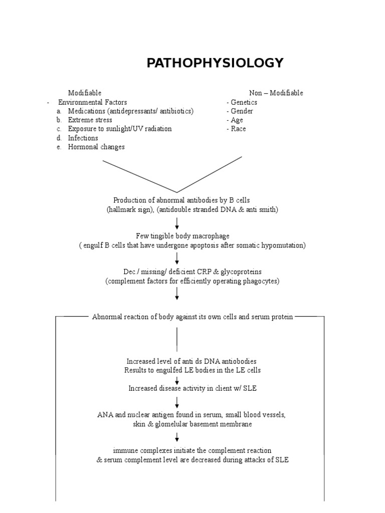 Pathophysiology of Systemic Lupus Erythematosus | PDF | Complement ...