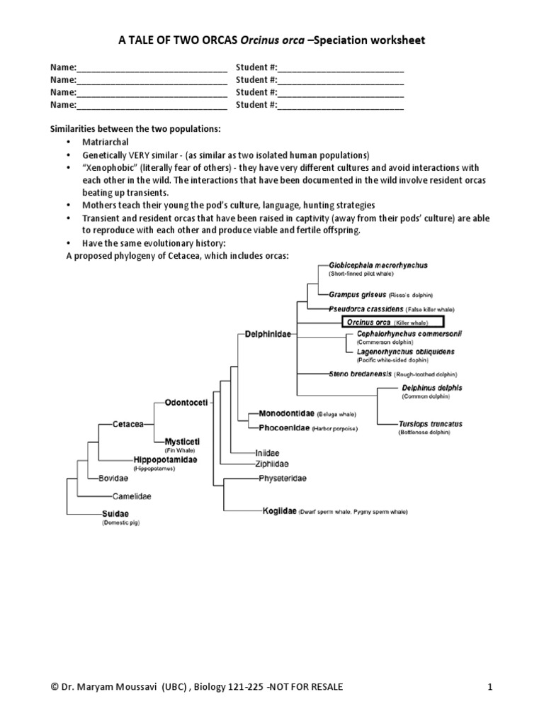 Orca Speciation In-Class Worksheet | PDF