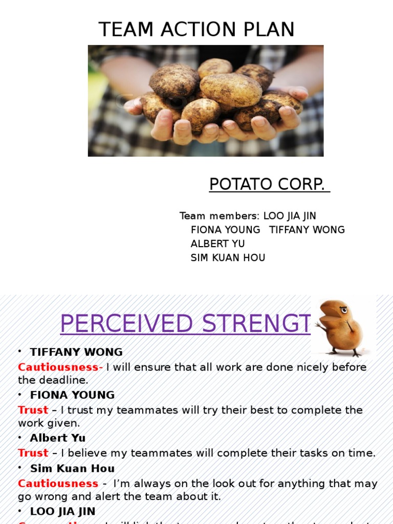 Team Action Plan | PDF