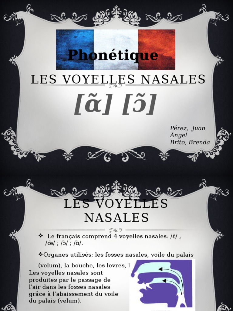 Les Voyelles Nasales | PDF | Voyelle | Phonologie