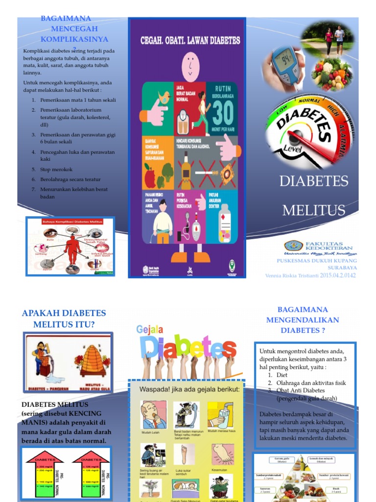 Leaflet Diabetes Mellitus | PDF