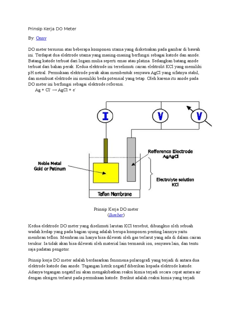 Prinsip Kerja DO Meter | PDF