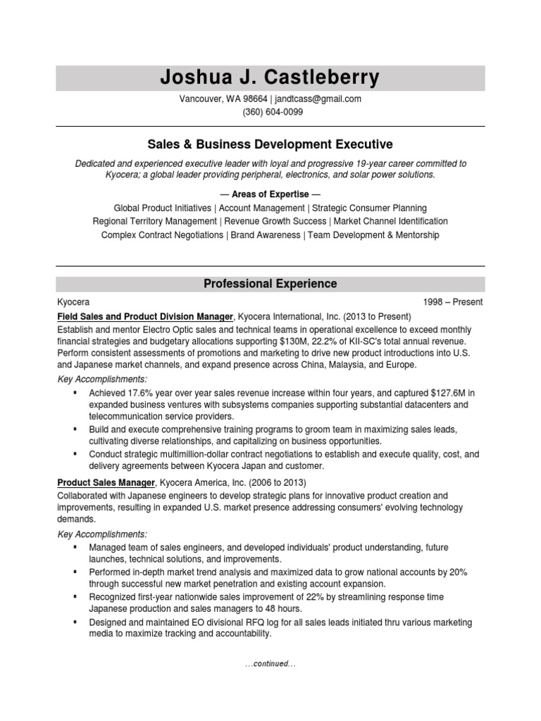 Joshua Castleberry: Sales Executive Profile | PDF | Business ...