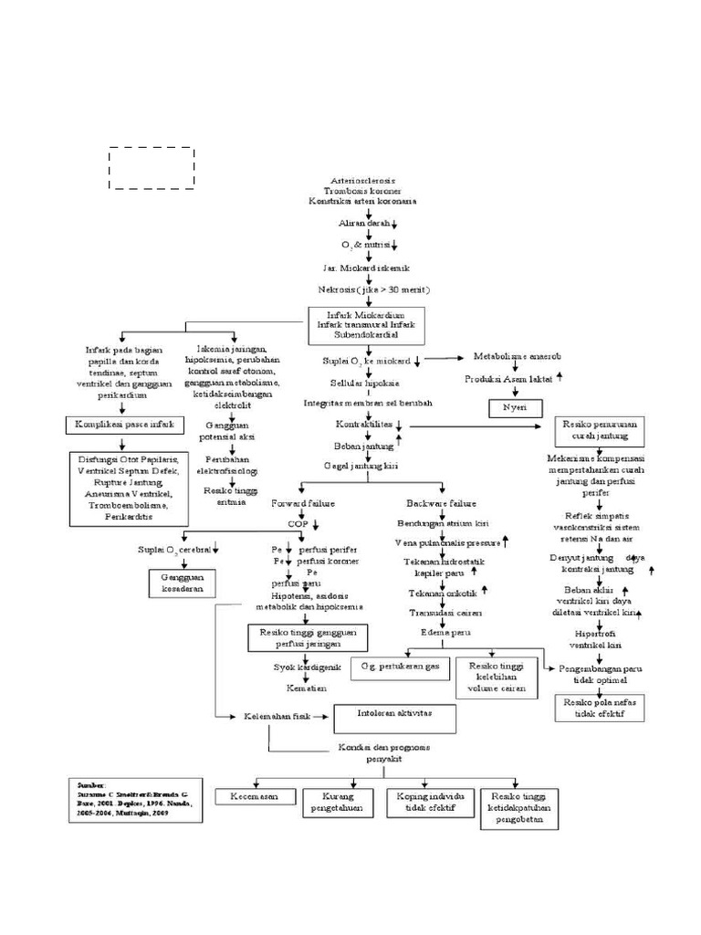 Pathway Acs Stemi | PDF
