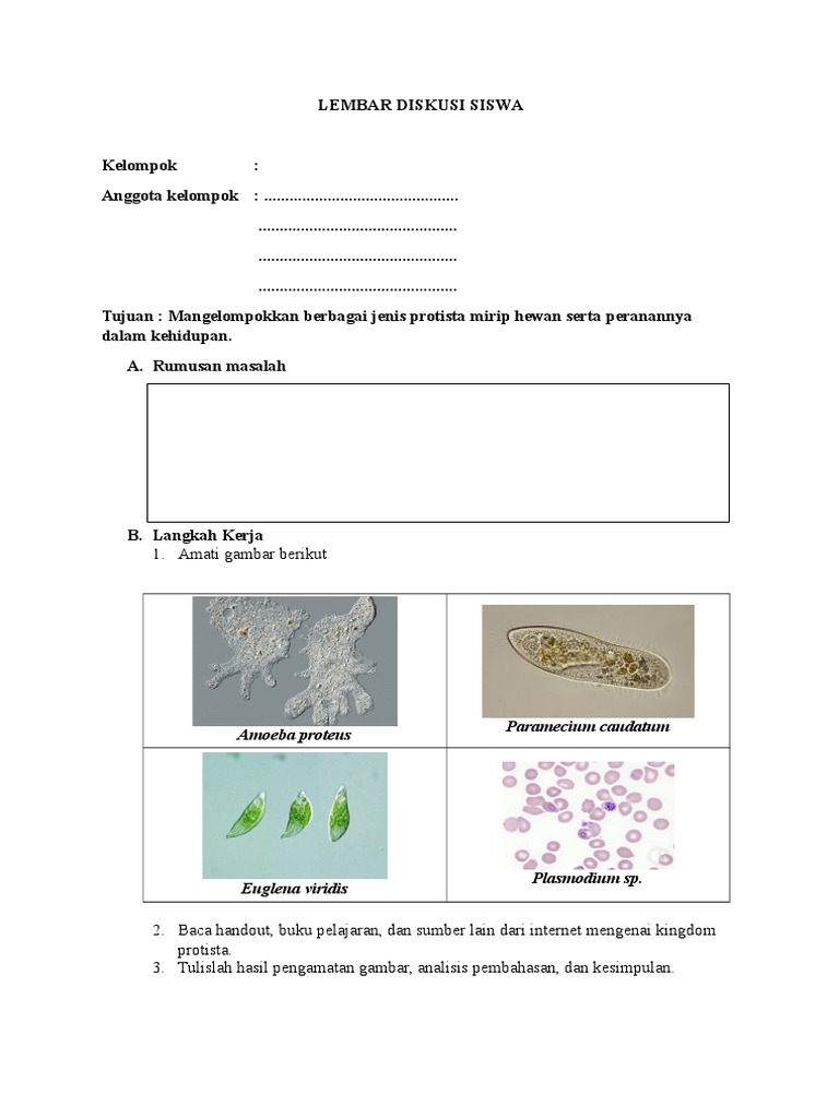 Lembar Diskusi Siswa | PDF