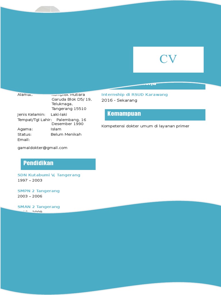 Contoh Curriculum Vitae Dokter Umum | PDF