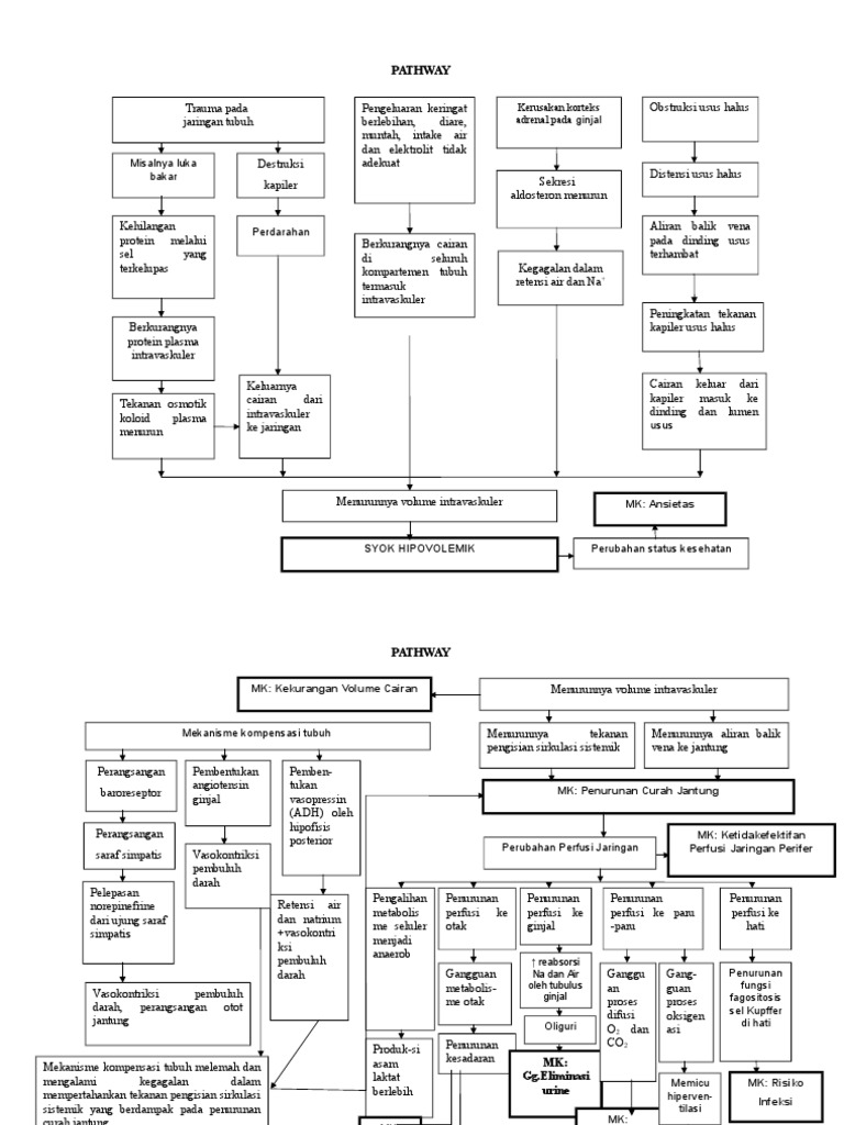 Pathway Syok Hipovolemik dan Patofisiologi | PDF