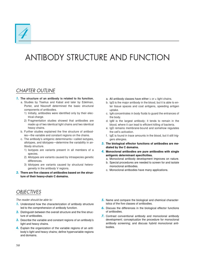 Antibody Structure and Function: Chapter Outline | PDF | Technology & Engineering