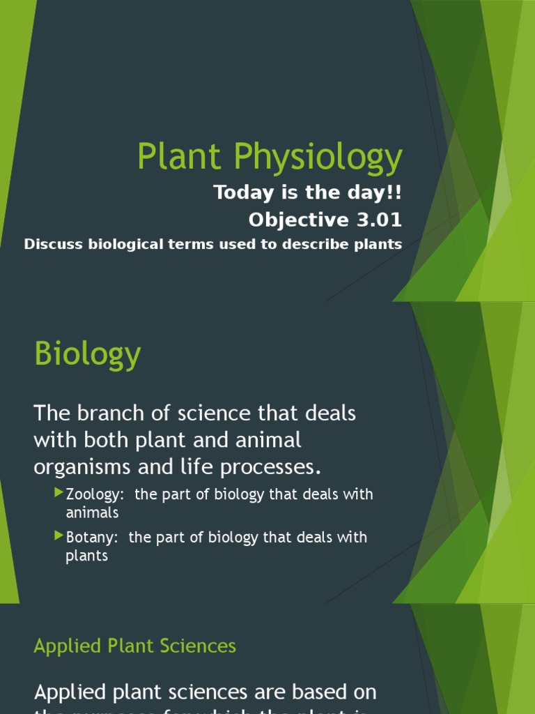 Plant Physiology and Growth Basics | PDF | Plant Stem | Flowers