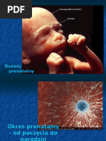 Robexera-40-Mg - Ulotka 2025 | PDF