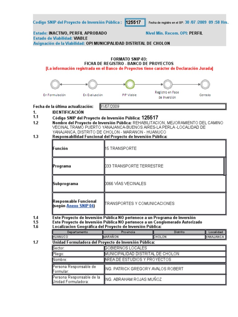 Formato Snip 125517 | PDF | Beneficio (economía) | Sustentabilidad