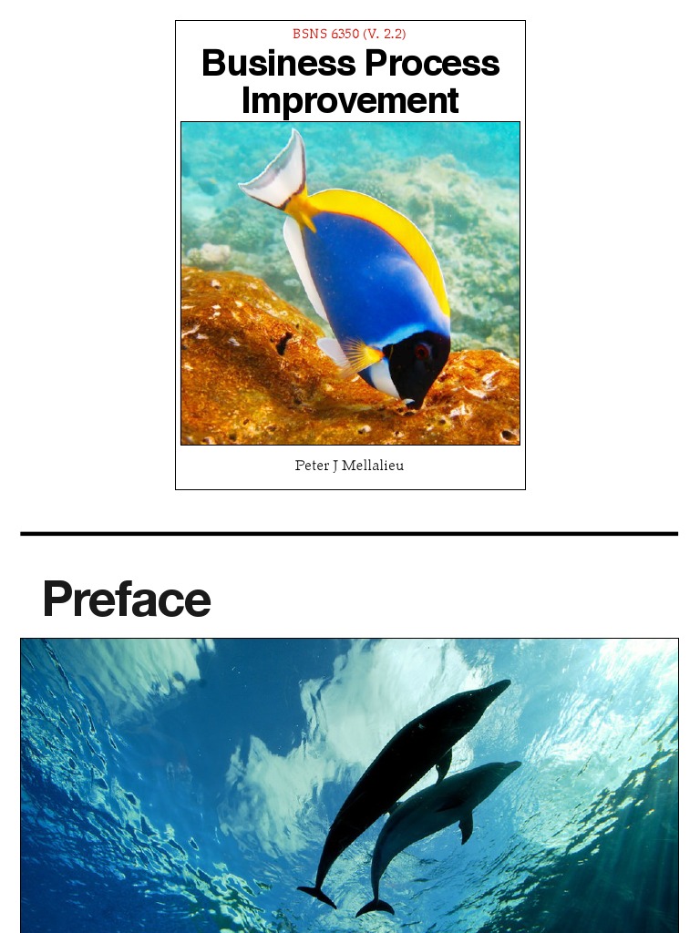 Business Process Improvement Handbook | PDF | Operations Management ...