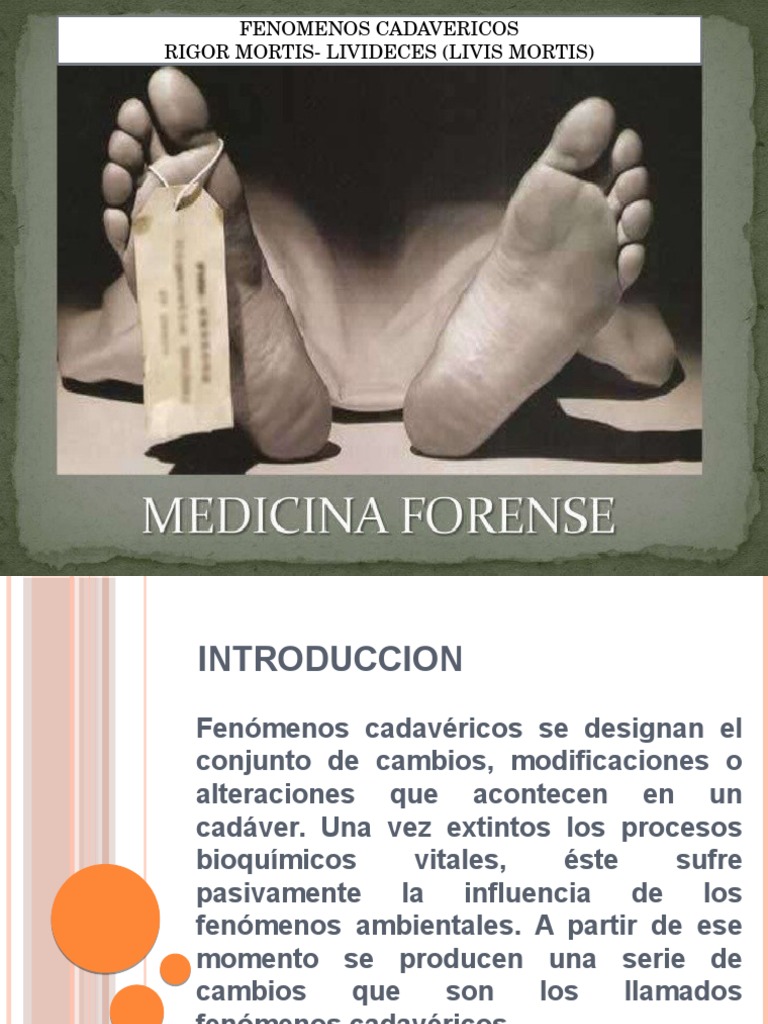 Fenómenos Cadavéricos: Rigor y Lividez | PDF | Músculo | Contracción ...