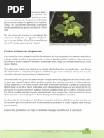 Taller de Bioinsecticidas | PDF | Control biológico de plagas | Plaga ...