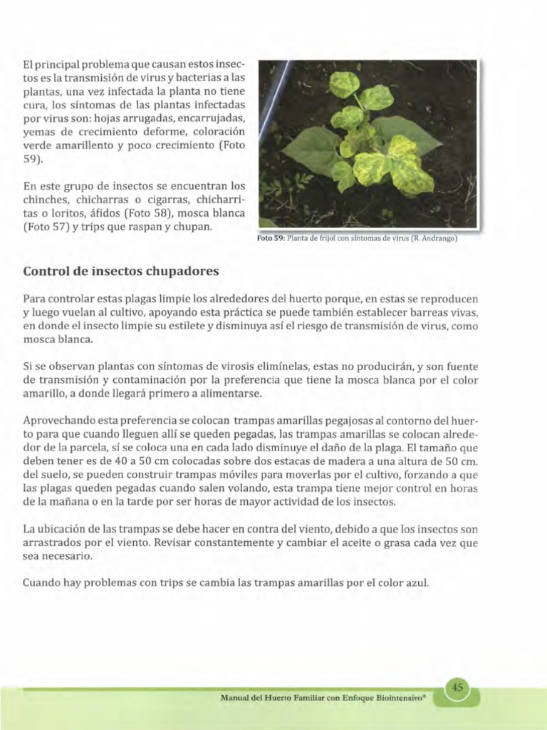 Control de Insectos Chupadores | PDF | Insectos | Jabón