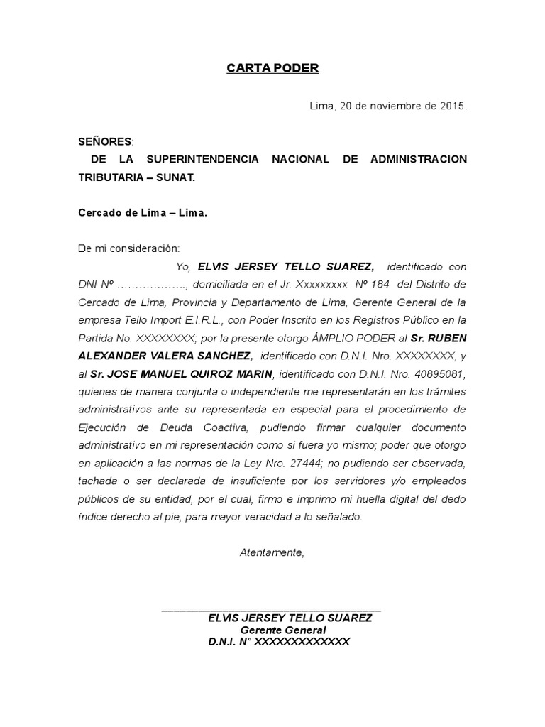 Carta Poder Sunat | PDF