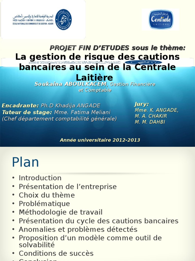 Final | PDF | Banques | Risque