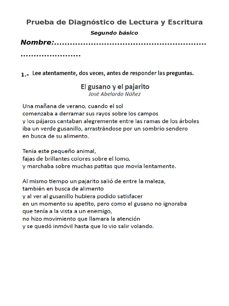 Prueba de Diagnóstico de Lectura y Escritura Segundo Básico | PDF