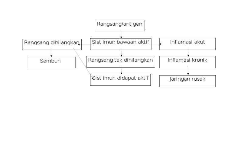 Inflamasi Skema | PDF