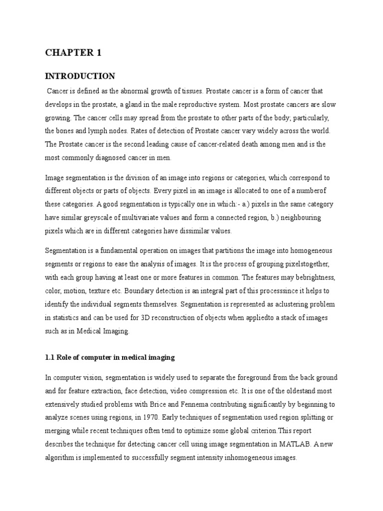 Image Segmentation Report | PDF | Image Segmentation | Matlab
