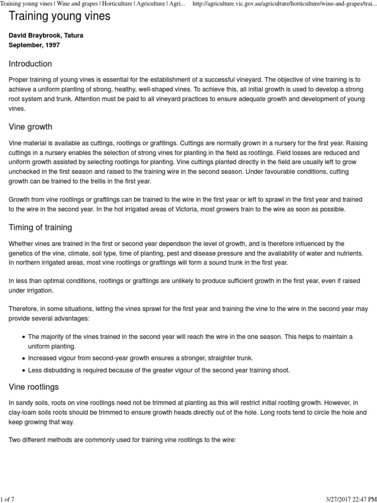 Training Young Vines | PDF | Grafting | Pruning