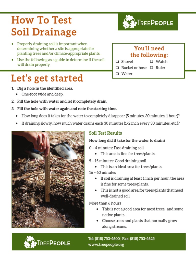 How-To Test Soil Drainage | PDF