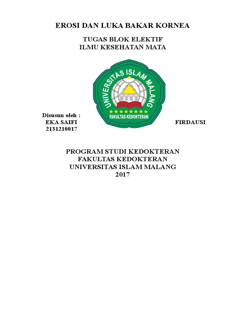 Individu EROSI DAN LUKA BAKAR KORNEA | PDF
